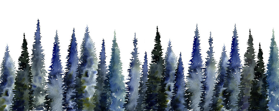 Cedar Watercolor Images – Browse 9,998 Stock Photos, Vectors, and Video ...