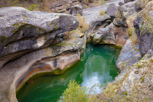 รูปภาพ"River Animals" – เลือกดูภาพถ่ายสต็อก เวกเตอร์ และวิดีโอ154 ...