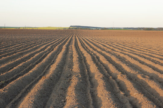Plough-Land Images – Browse 199 Stock Photos, Vectors, and Video ...