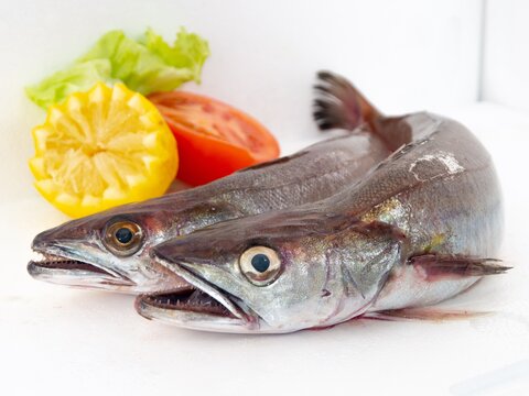 Merluza Bilder – Durchsuchen 1,038 Archivfotos, Vektorgrafiken und ...