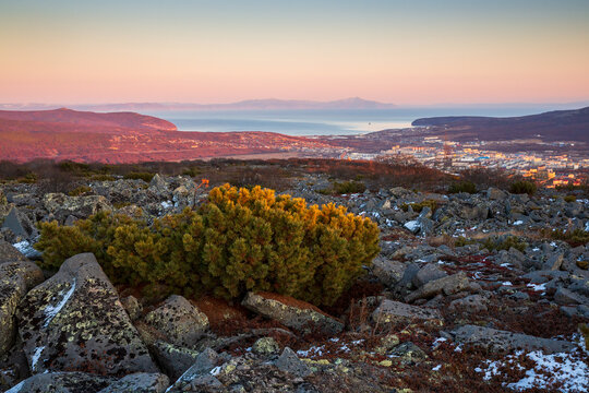 Magadan Bilder – Durchsuchen 3,273 Archivfotos, Vektorgrafiken und ...