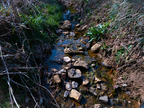 Ruver Images – Browse 110 Stock Photos, Vectors, and Video | Adobe Stock