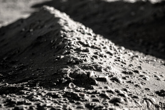 Sheels Images – Browse 169 Stock Photos, Vectors, and Video | Adobe Stock