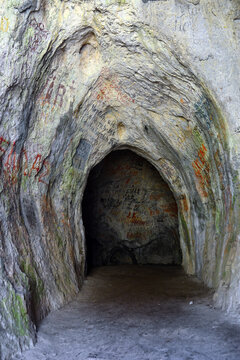 Grot Images – Browse 2,408 Stock Photos, Vectors, and Video | Adobe Stock