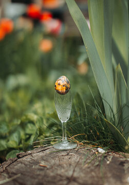 Velikden Bilder – Durchsuchen 28 Archivfotos, Vektorgrafiken und Videos ...