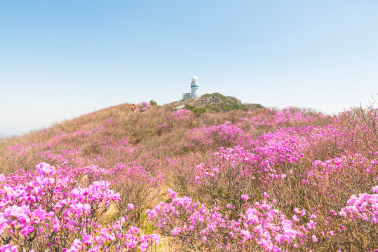 sigint photos, images, assets | Adobe Stock
