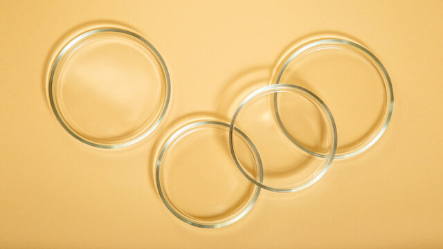 Petrie 이미지 – 찾아보기 588 스톡 사진, 벡터 및 비디오 | Adobe Stock