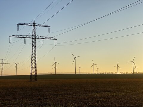 Biostrom bilder – Bläddra bland 1,154 stockfoton, vektorer och videor ...