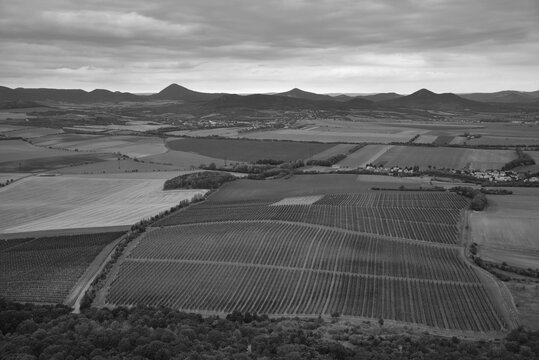 Hasenburg Imagens – Procure 35 fotos, vetores e vídeos | Adobe Stock