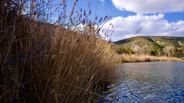 Odtu Images – Browse 63 Stock Photos, Vectors, and Video | Adobe Stock