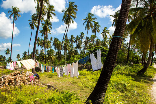 Closeline Bilder – Durchsuchen 6 Archivfotos, Vektorgrafiken und Videos ...