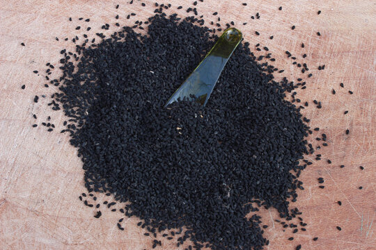 Obrázky Kalinji – procházejte fotografie, vektory a videa 759 | Adobe Stock