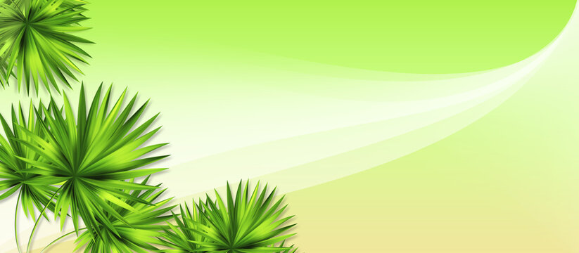 Calming Green Background Images – Browse 752,857 Stock Photos, Vectors ...