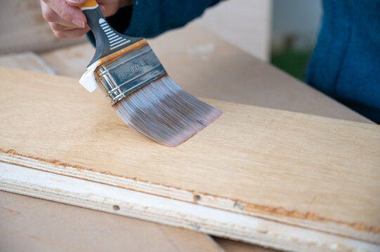 「Vernir」の画像 - 324 件の Stock 写真、ベクターおよびビデオ | Adobe Stock