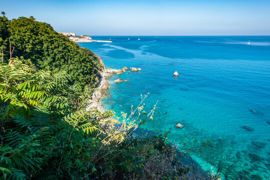 Tropa Images – Browse 6 Stock Photos, Vectors, and Video | Adobe Stock