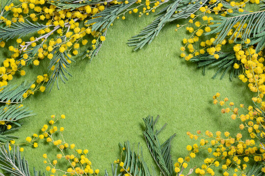 "Felt Background" Imagens – Procure 394 fotos, vetores e vídeos | Adobe ...