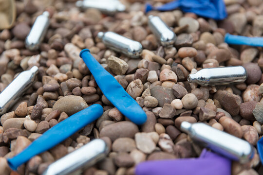 Whippits Images – Browse 91 Stock Photos, Vectors, and Video | Adobe Stock