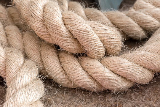 รูปภาพSisal – เลือกดูภาพถ่ายสต็อก เวกเตอร์ และวิดีโอ9,953 | Adobe Stock