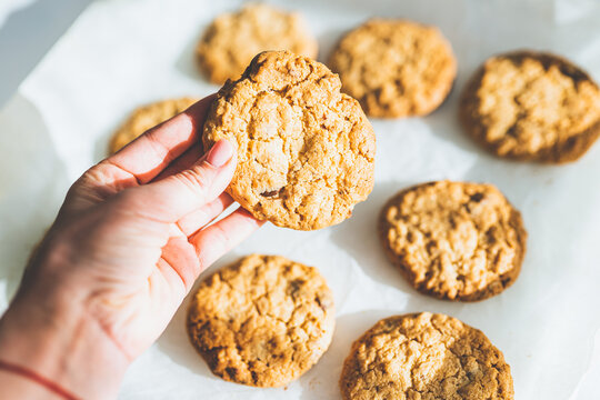รูปภาพBroun – เลือกดูภาพถ่ายสต็อก เวกเตอร์ และวิดีโอ3,453 | Adobe Stock