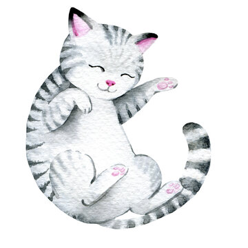 Sleepy Kitten Drawing