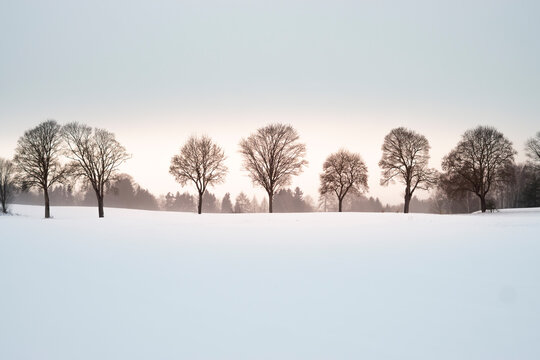 "Winter Background" Images – Browse 54,684 Stock Photos, Vectors, and ...