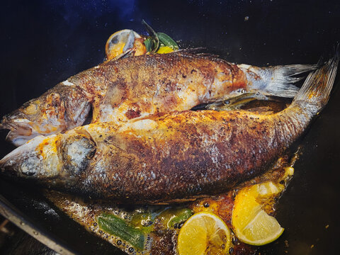 รูปภาพSeebarsch – เลือกดูภาพถ่ายสต็อก เวกเตอร์ และวิดีโอ112 | Adobe Stock