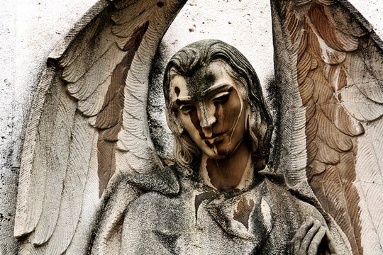 Crean Images – Browse 3,839 Stock Photos, Vectors, and Video | Adobe Stock