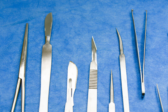 รูปภาพDissection – เลือกดูภาพถ่ายสต็อก เวกเตอร์ และวิดีโอ17,884 | Adobe ...
