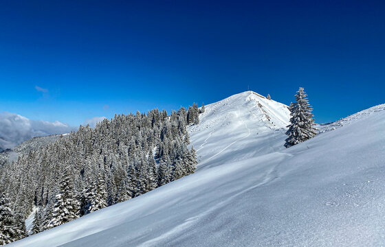 「Seekar」の画像 - 668 件の Stock 写真、ベクターおよびビデオ | Adobe Stock