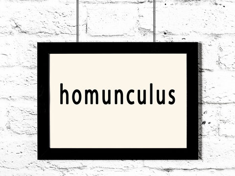 Homunculus Bilder – Durchsuchen 1,584 Archivfotos, Vektorgrafiken und ...