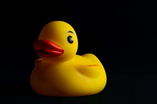 Rubber-Duck Images – Browse 324 Stock Photos, Vectors, and Video ...