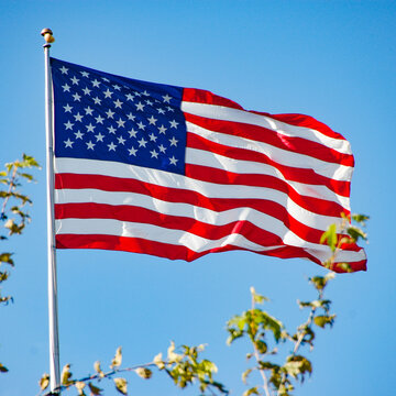 รูปภาพUnfurled – เลือกดูภาพถ่ายสต็อก เวกเตอร์ และวิดีโอ10,702 | Adobe Stock