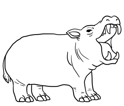 Hippo Outline