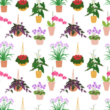 Chirita Images – Browse 52 Stock Photos, Vectors, and Video | Adobe Stock