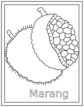 「Marang」の写真素材 | 1,073件の無料イラスト画像 | Adobe Stock