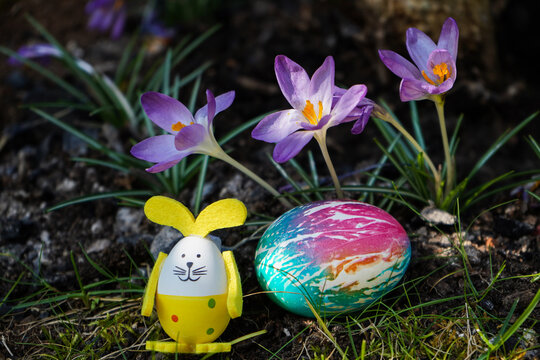 Egg Search"」の写真素材 | 488件の無料イラスト画像 | Adobe Stock