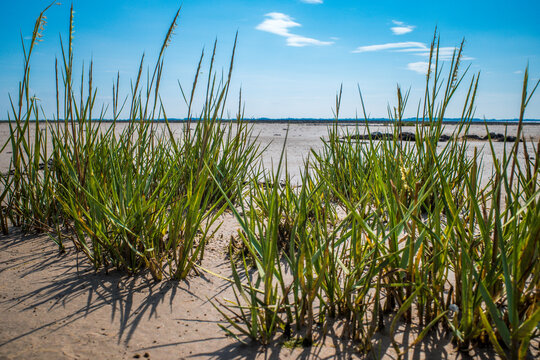"Evening Scene" Bilder – Durchsuchen 975 Archivfotos, Vektorgrafiken und Videos | Adobe Stock