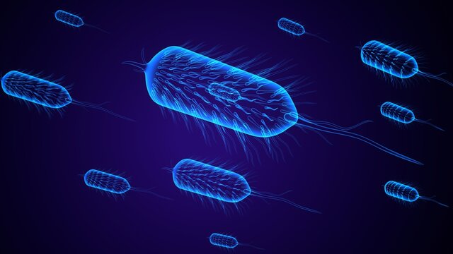 รูปภาพEnterocolitis – เลือกดูภาพถ่ายสต็อก เวกเตอร์ และวิดีโอ616 | Adobe ...