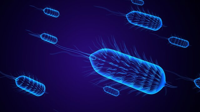 รูปภาพEnterocolitis – เลือกดูภาพถ่ายสต็อก เวกเตอร์ และวิดีโอ616 | Adobe ...