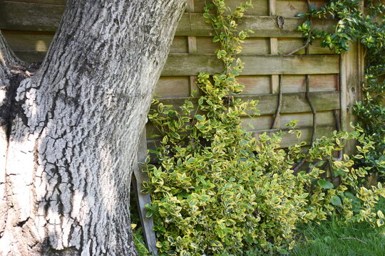 Spind bilder – Bläddra bland 387 stockfoton, vektorer och videor ...