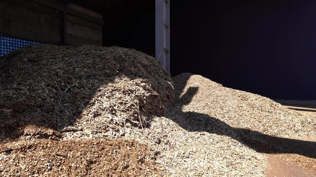 Biomass Images – Browse 43,224 Stock Photos, Vectors, and Video | Adobe ...