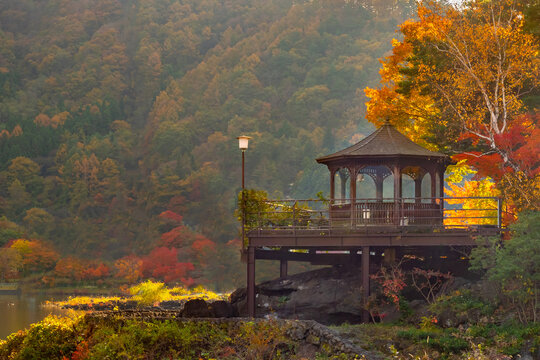 Imagens de "Japan Nature" – Explore Fotografias do Stock, Vetores e ...