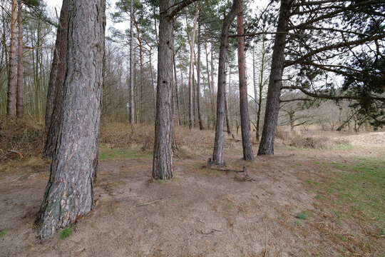 Sandig Bilder – Durchsuchen 8,950 Archivfotos, Vektorgrafiken und ...