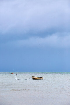 Beach-Body Images – Browse 50 Stock Photos, Vectors, and Video | Adobe ...