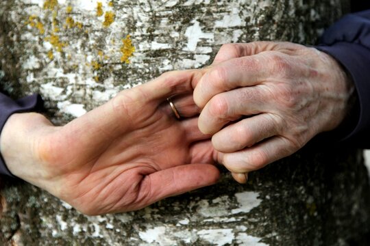 Encircle Images – Browse 48,491 Stock Photos, Vectors, and Video ...