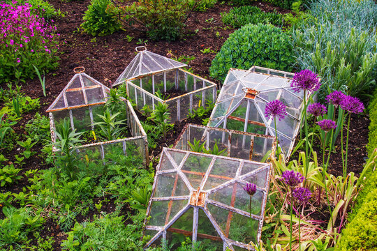 Cold Frames Templates – Free Editable Designs | PikWizard