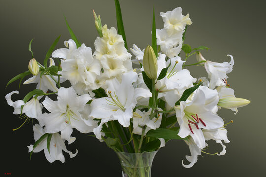 Reinfeiern Bilder – Durchsuchen 4,095 Archivfotos, Vektorgrafiken und ...