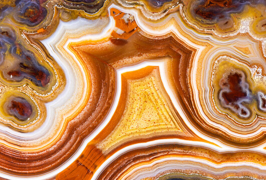 LAS 4,012,981 MEJORES IMÁGENES, FOTOS DE ARCHIVO Y VECTORES DE ...