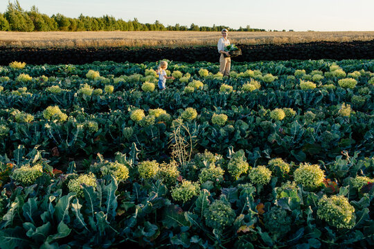 Bio Bilder – Durchsuchen 1,699,745 Archivfotos, Vektorgrafiken und ...