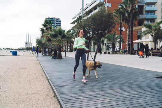 「Mongler」の写真素材 | 13件の無料イラスト画像 | Adobe Stock